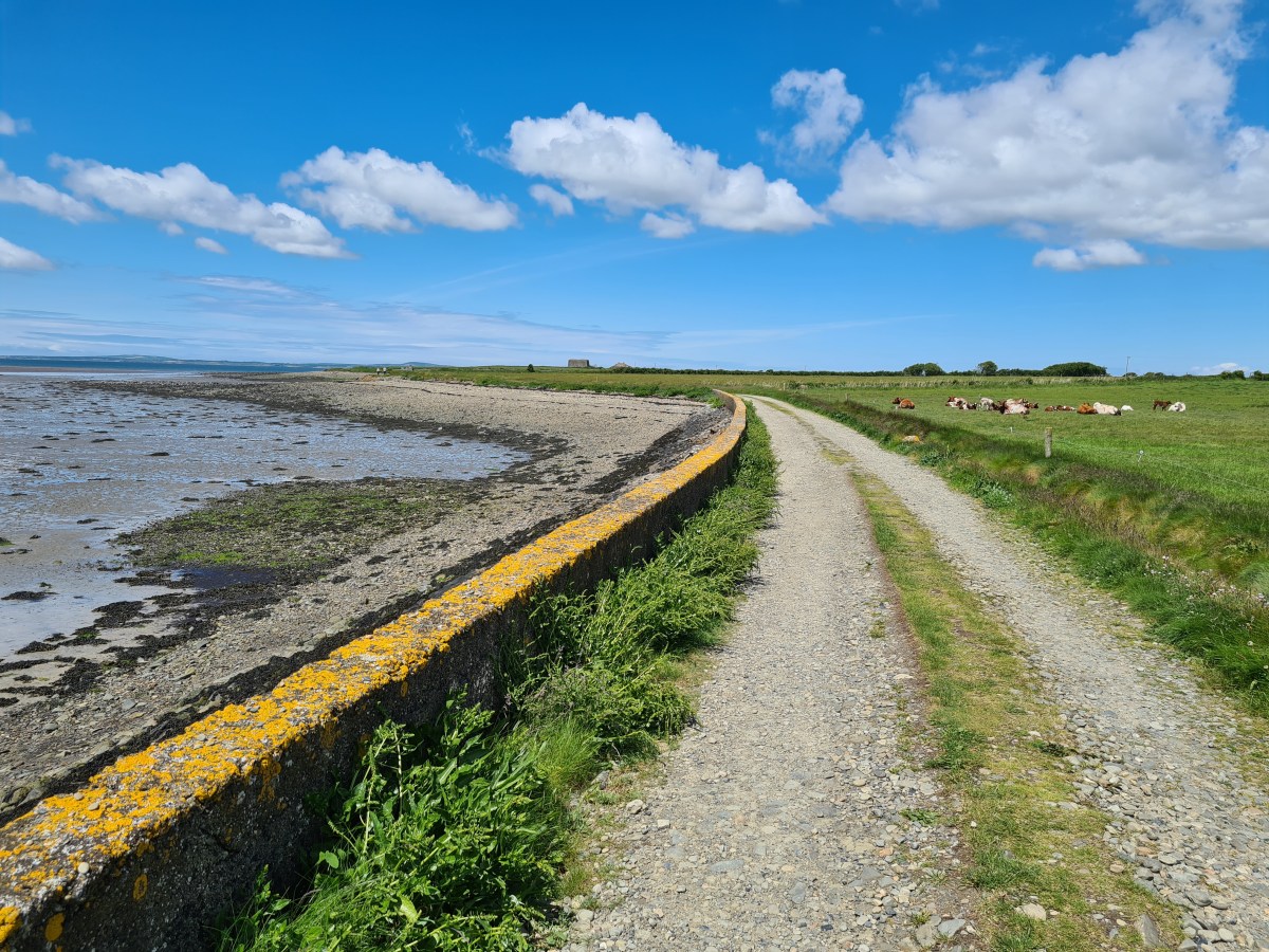 Carrig Island, Ballylongford, Co.Kerry – Ballylongford Snaps